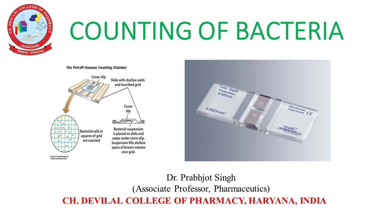 COUNTING OF BACTERIA - YouTube