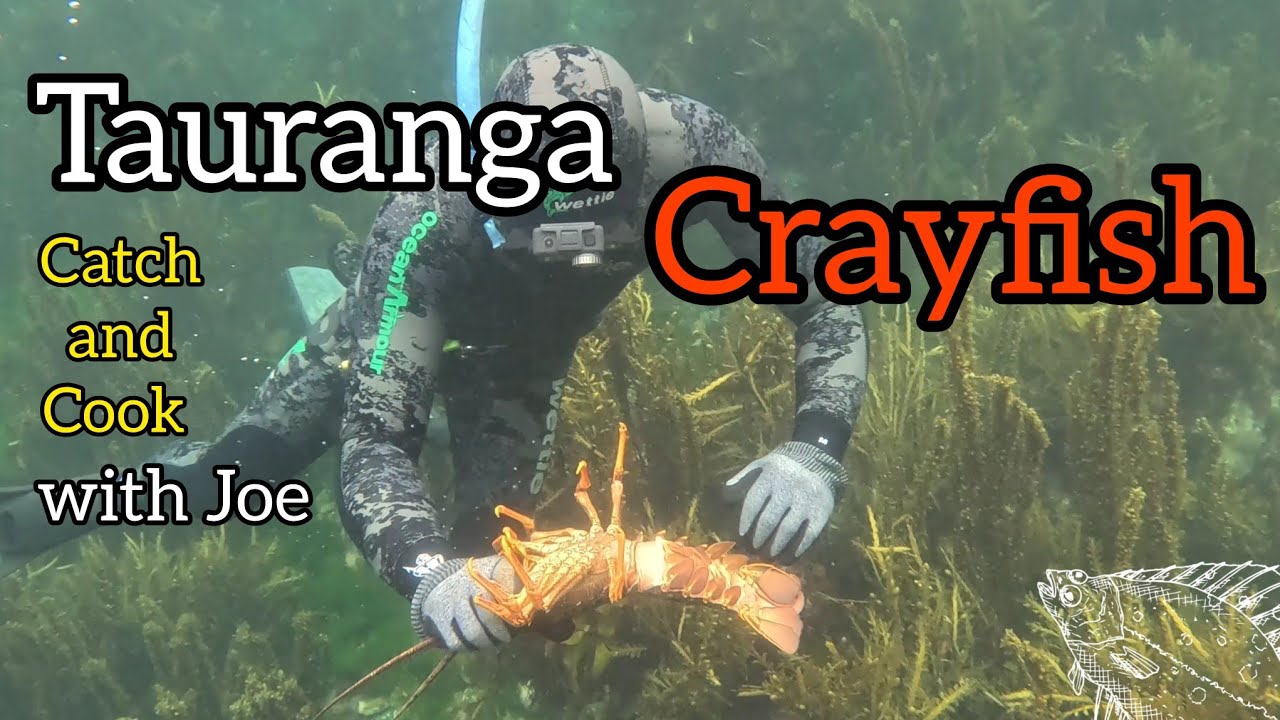 Crayfish Catch and Cook in Tauranga with Joe - YouTube