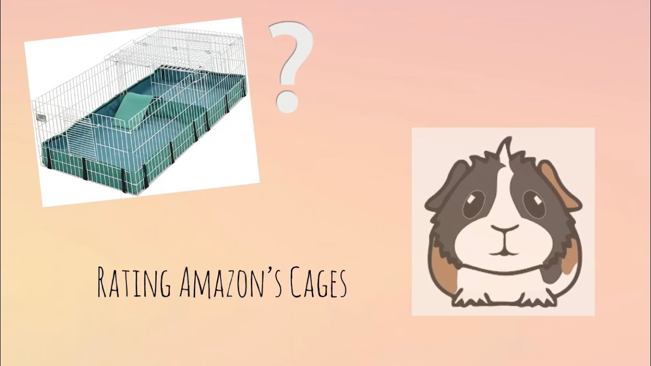 Rating Amazon’s Cages!! - YouTube