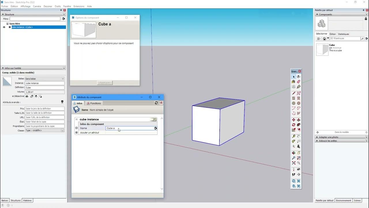 Sketchup component different name (definition instance) - YouTube