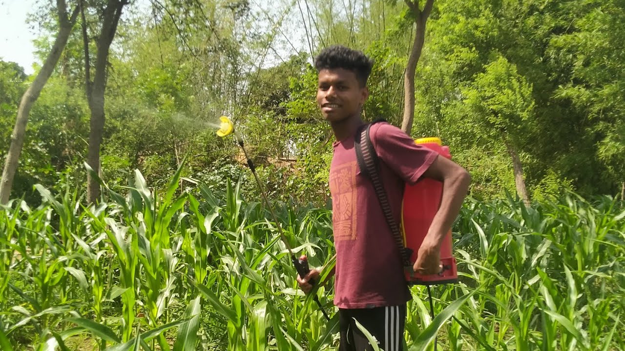 daily life blog JAY LIFE BLOG - YouTube