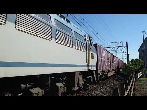 JR貨物 EF66 118[吹] 3075レ 二川駅〜豊橋駅間 - YouTube