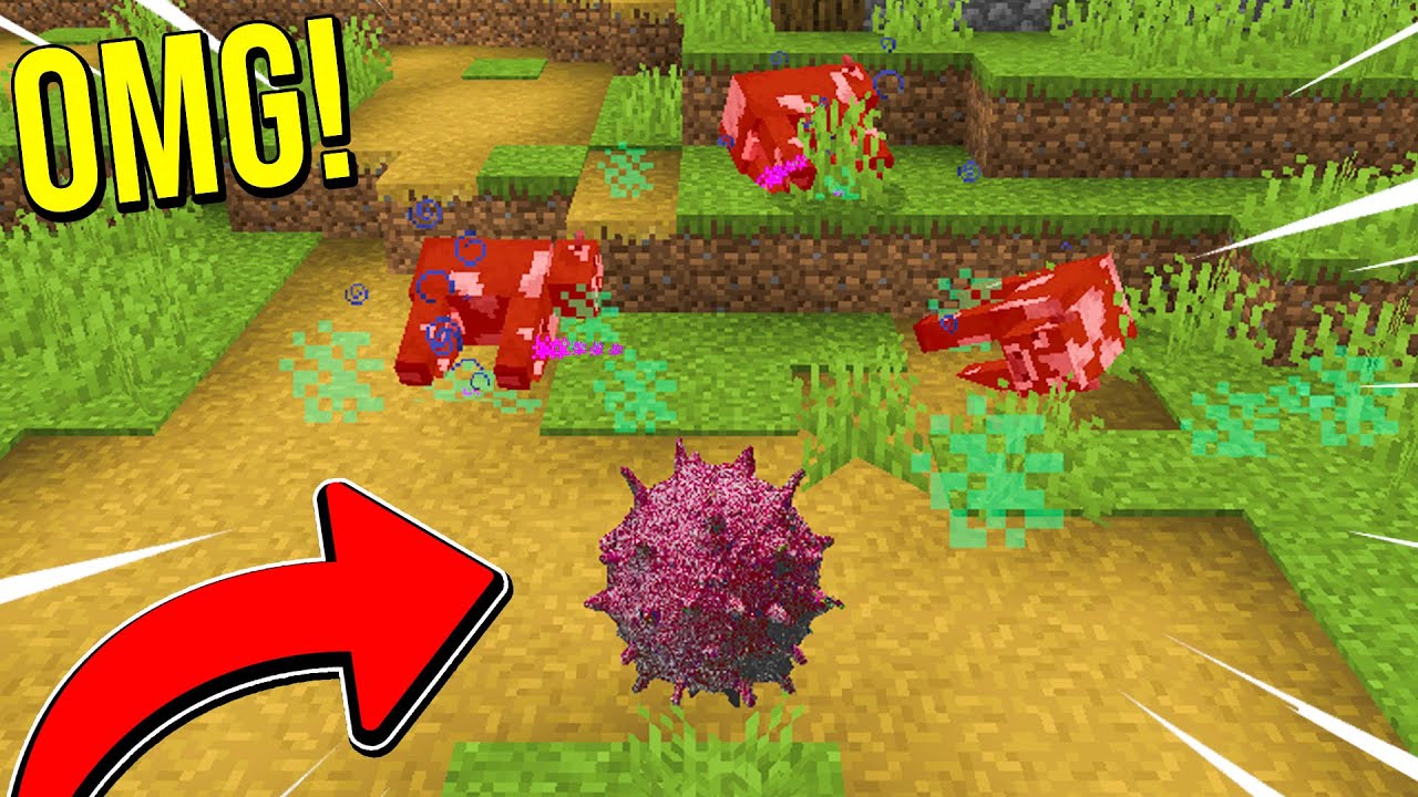 🔥 จะเกิดไรขึ้น?! ถ้ามายคราฟมีโรคระบาด!! - Minecraft Virus - YouTube