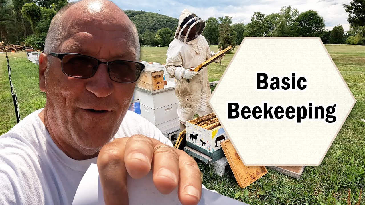 HoneyBeeMade Basic Beekeeping Video - YouTube