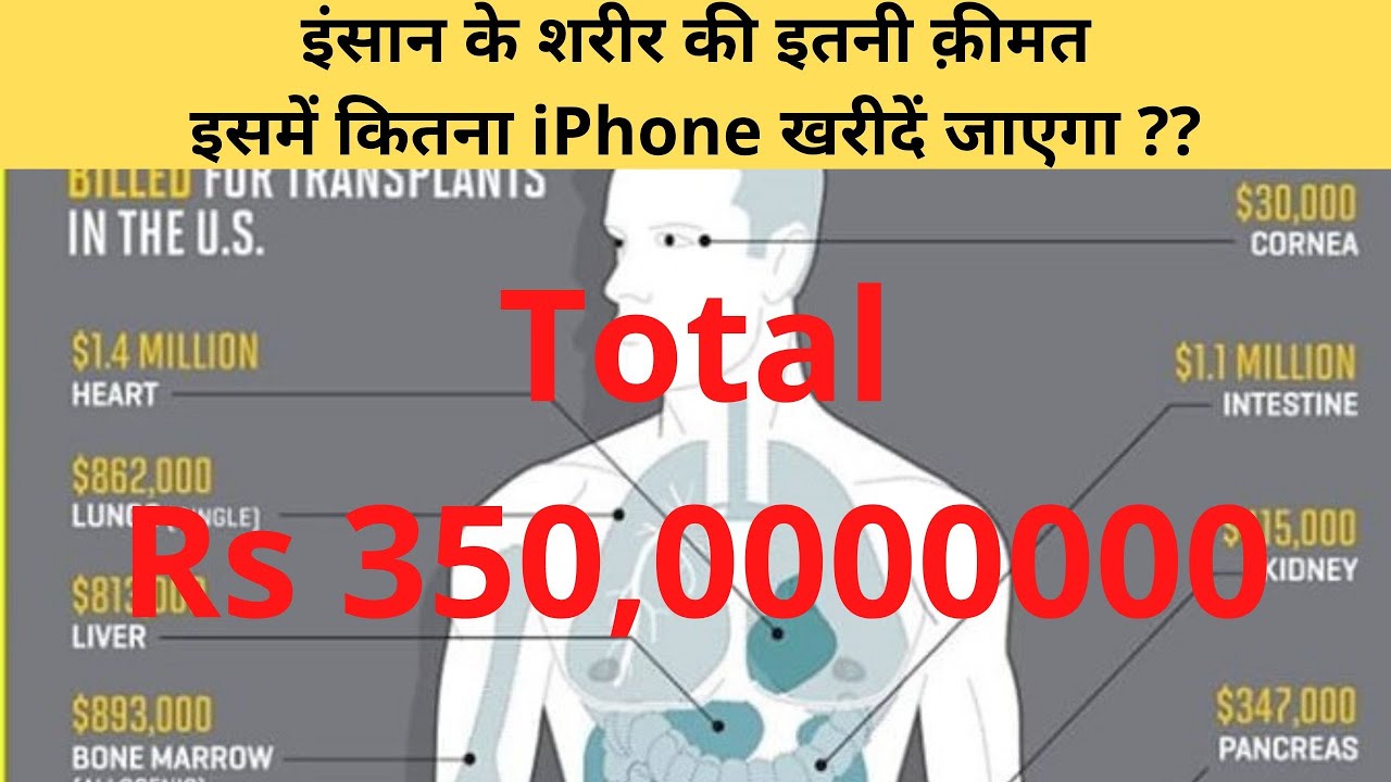 Total Human Body Value Amazing Facts Daily Catch YouTube total-human-body-value-amazing-facts-daily-catch-youtube