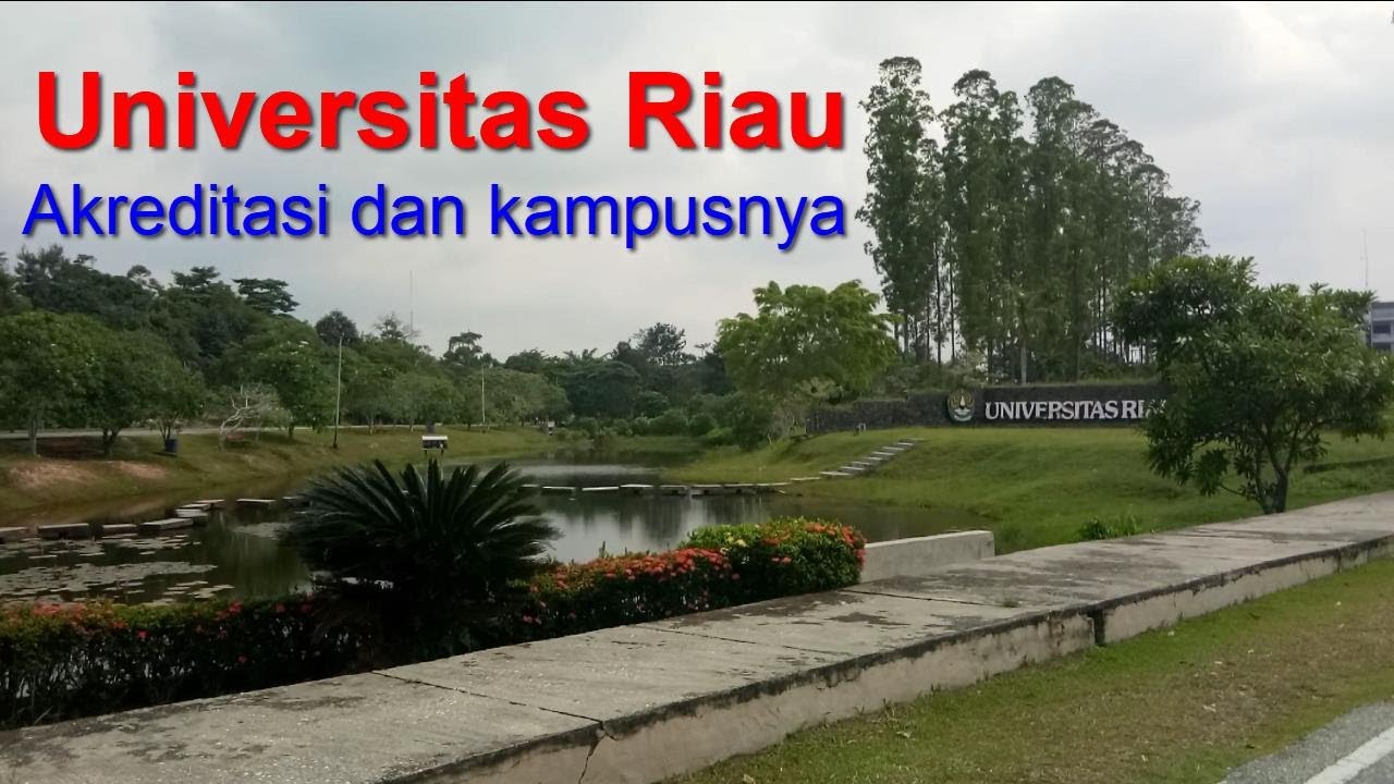 Anda ingin kuliah di Universitas Riau? Check dulu Akreditasi dan ...