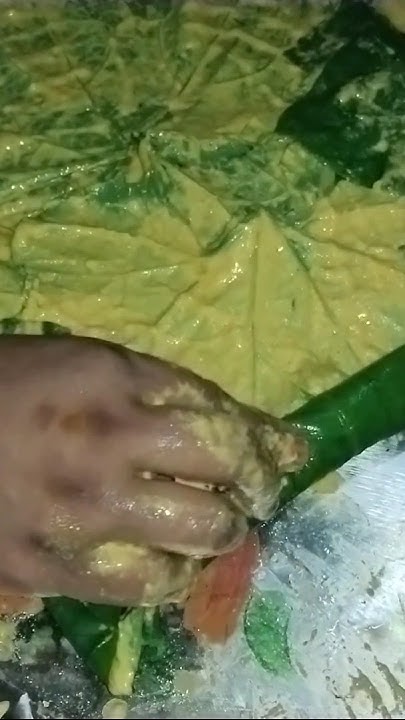 ghiura# ke patta ka aur #coach#shaort - YouTube