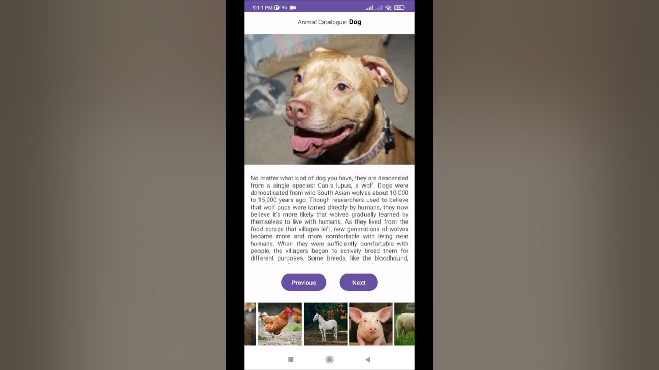 Mobile Web Application Development | Assignment 1 resit | Sai Mani Dhakshayani Ponnada ...