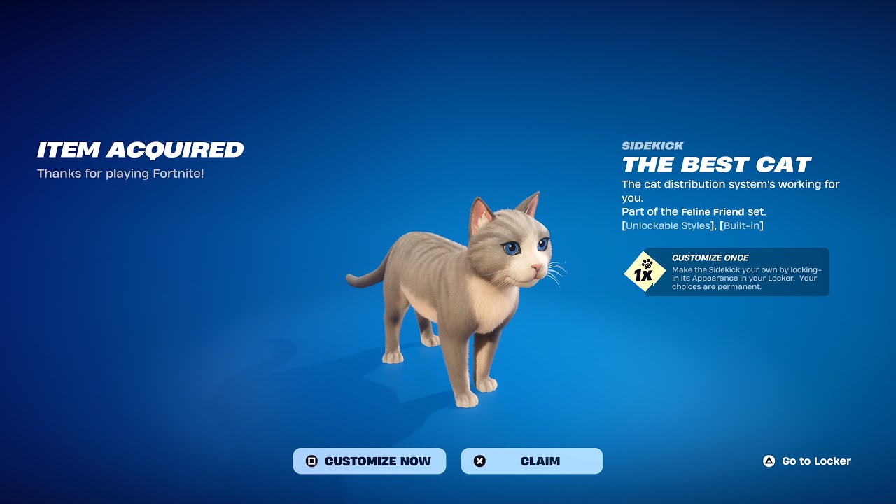 HOW TO GET THE BEST CAT SIDEKICK IN FORTNITE! - YouTube