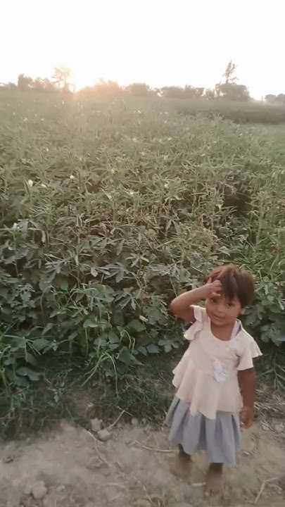 ananya pari 8880 tohara ke Dil Diya be kareja tu - YouTube