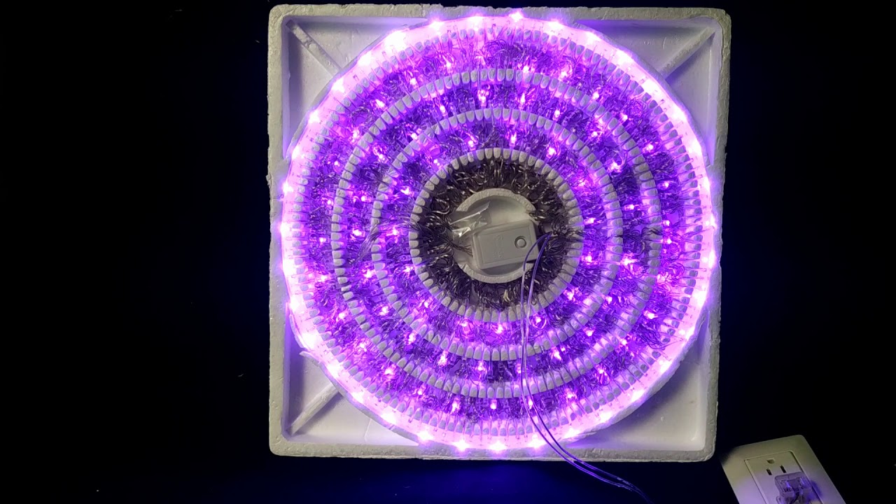 Serie 400 Luces LED Blanco con Morado SE400BLMR - YouTube