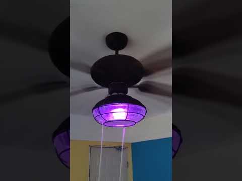 Quorum Pinnacle Patio Ceiling Fan installed in my temporary bedroom ...