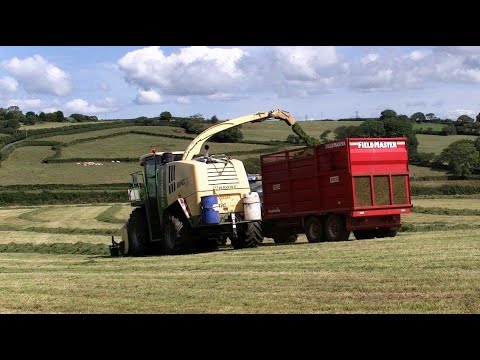 Silaging with Krone and Nice Variety of Tractors! - YouTube