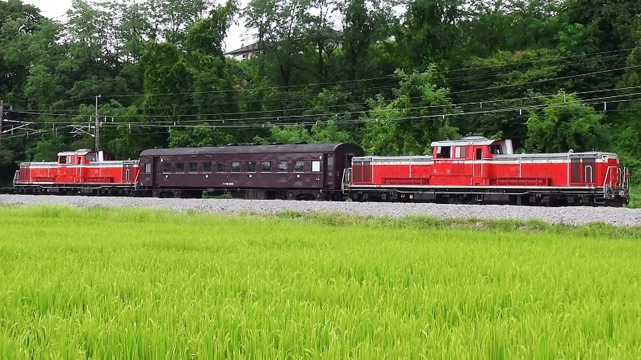 DD51PP 信越訓練 2015.8.19 - YouTube