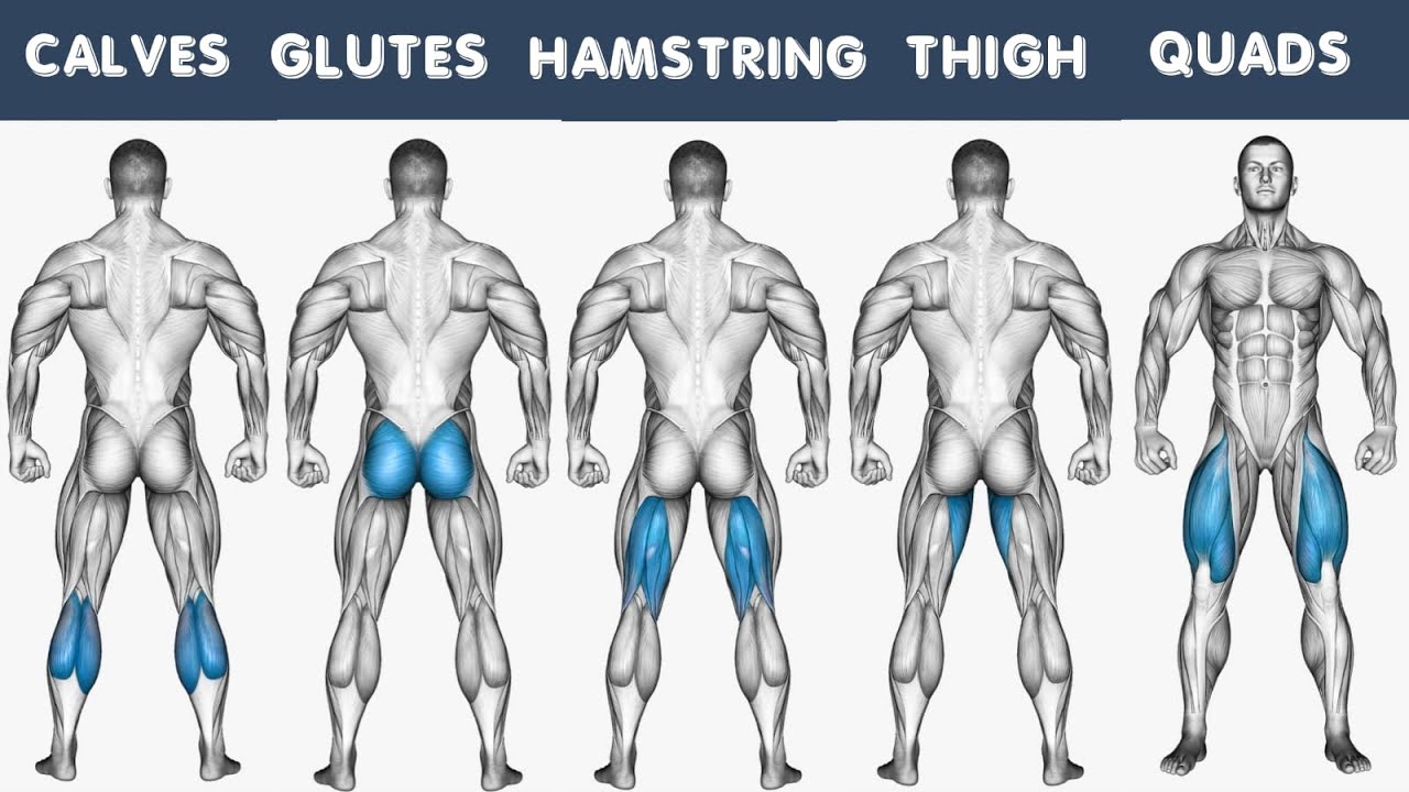 10 Best Bodyweight Exercises For Strong Legs - YouTube