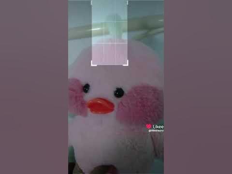 уточка - YouTube