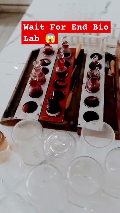 Bio Lab Wait For End 🧪#practical#biology_practical - YouTube