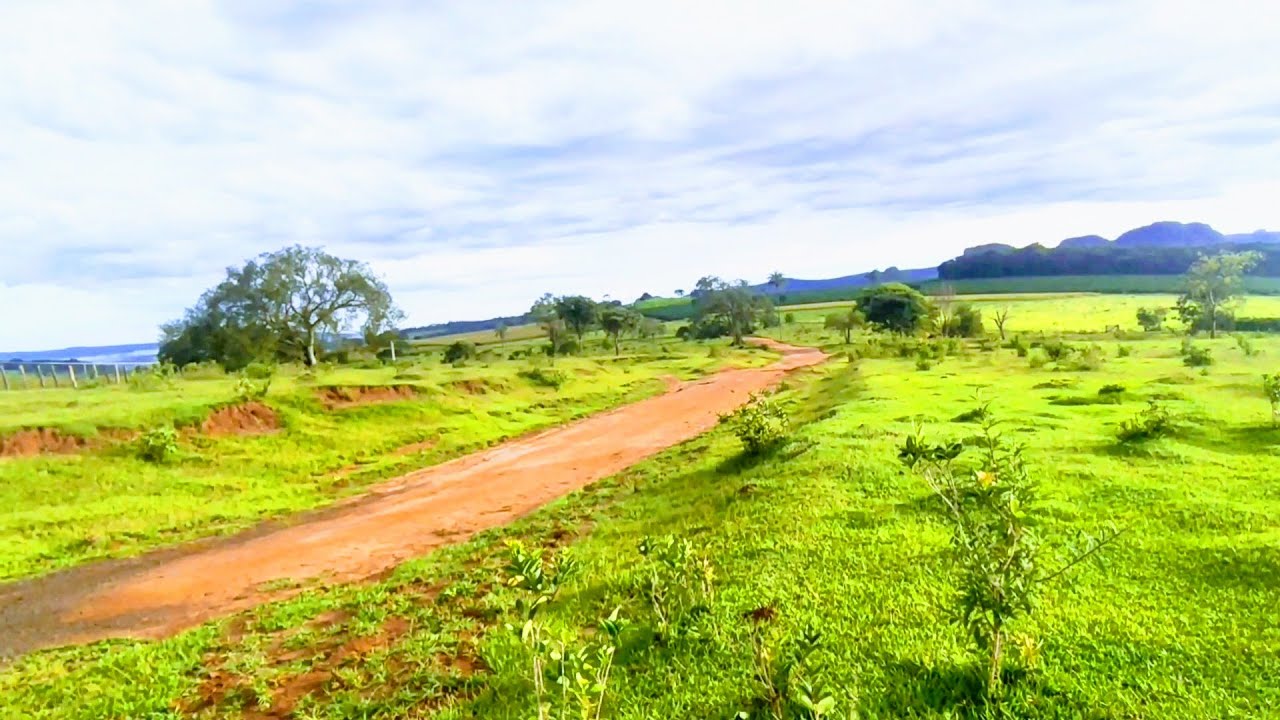 Estrada rural de Franca - YouTube