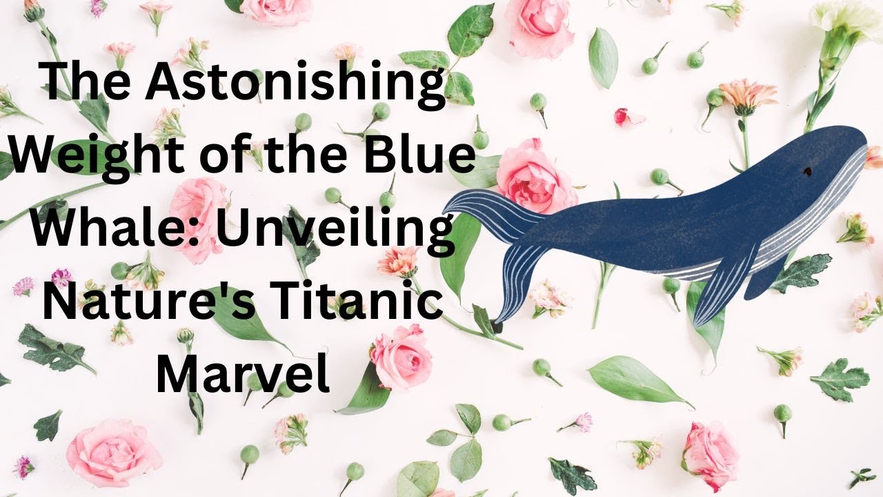 The Astonishing Weight of the Blue Whale: Unveiling Nature's Titanic ...