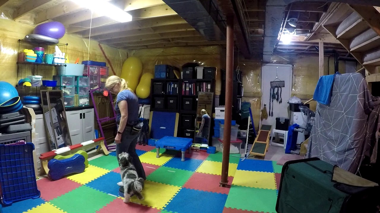 Skye Doing Perch work movie - YouTube