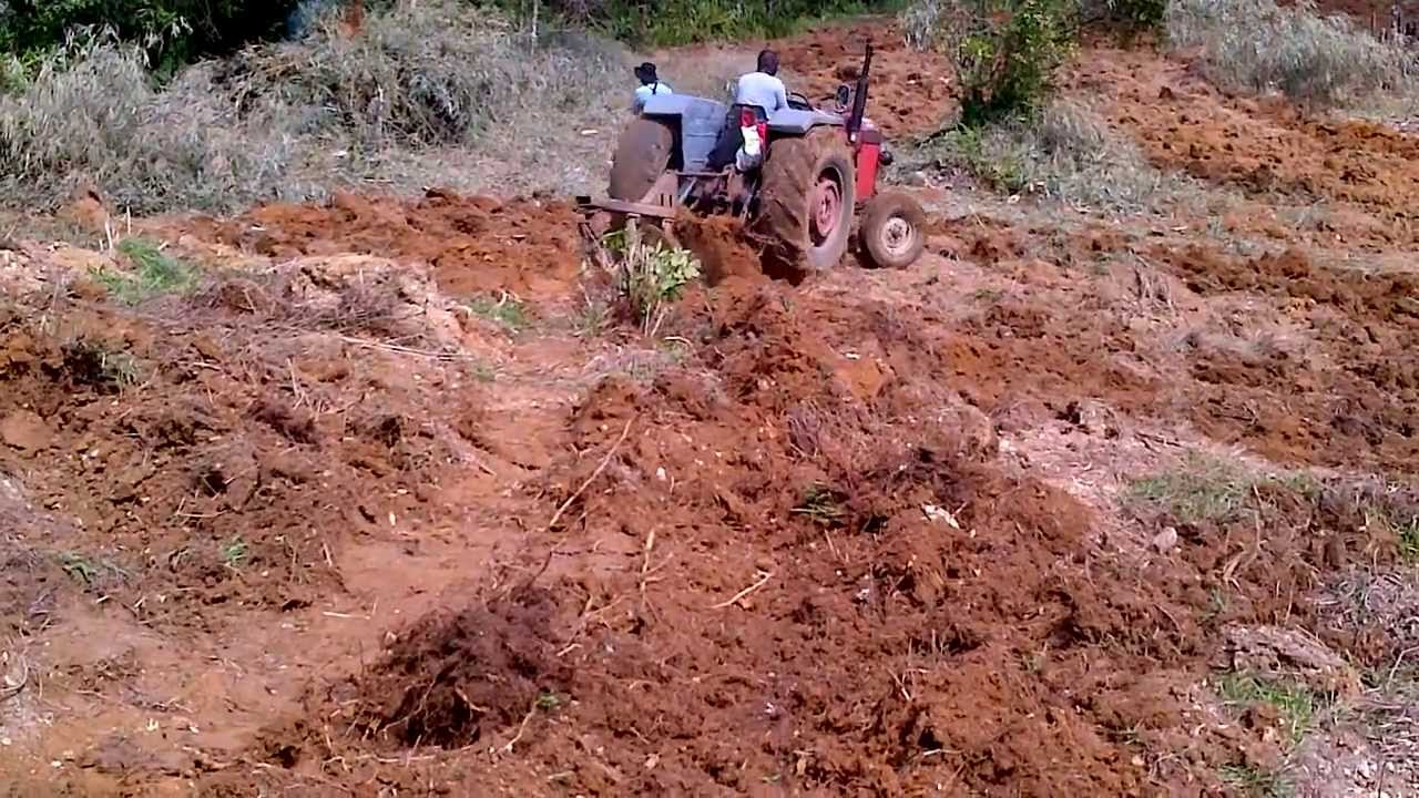 plowing land for farm - YouTube