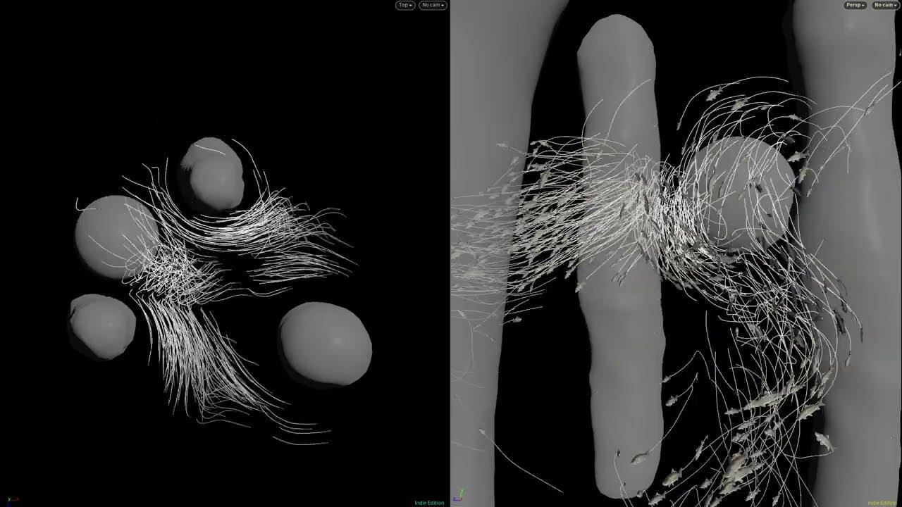 Houdini Fish School - YouTube