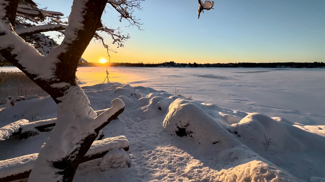 Sunrise walk at 8:50 AM Lake Drevviken Sweden - YouTube