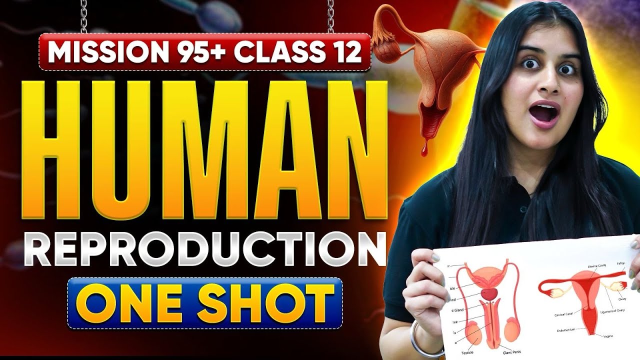 Class 12 Biology🌸Human Reproduction in Flowering Plants One Shot | Dr ...