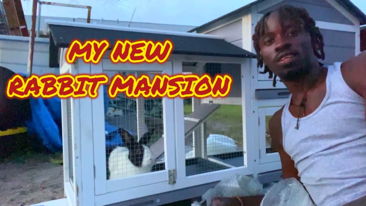 Building the Ultimate Rabbit Mansion: A Dream Home for Bunnies! - YouTube