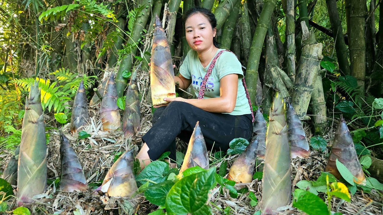 Harvest Bamboo Shoots and Bring to the market Sell - Make Chili Bamboo ...