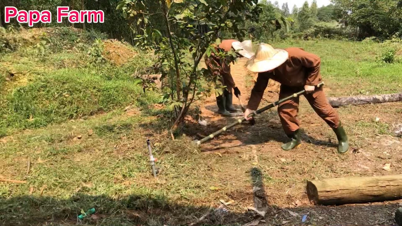 #1 Papa Farm: start 💪💪💪 #farm #farming #farmer #nature #papafarm - YouTube