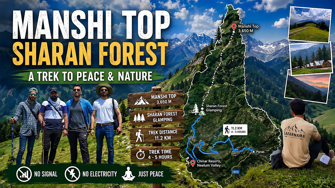 Discover the Untamed Beauty Epic Forest Trekking and Camping Guide at ...