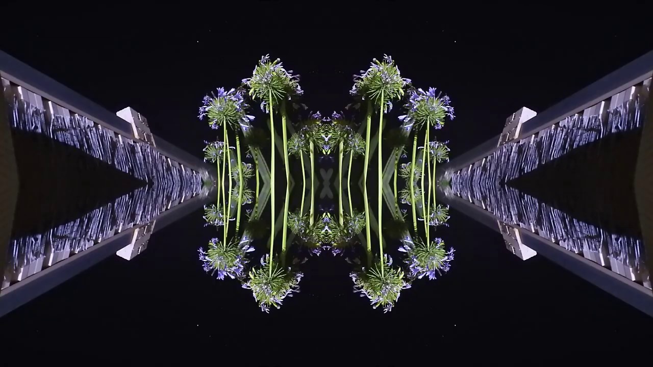 dontwakemeup - energy signature spirit filtered garden drive otb light ...