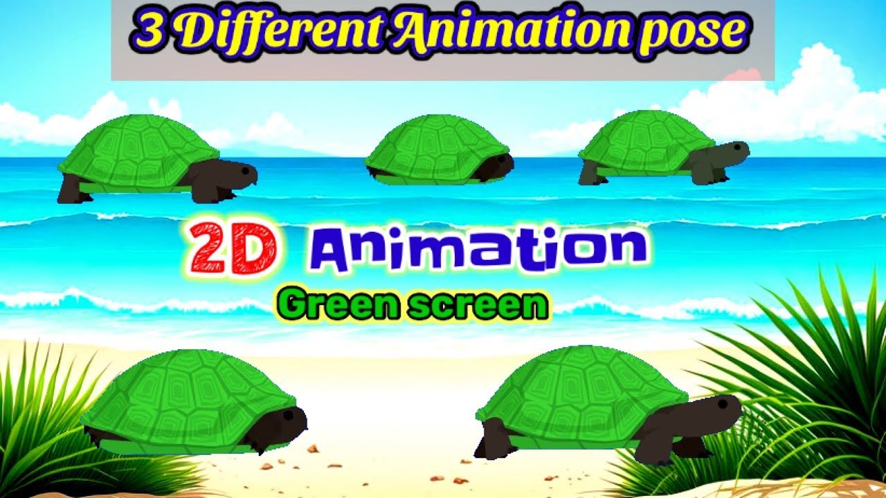 Turtle green screen | sea turtle green screen | turtle animation green ...