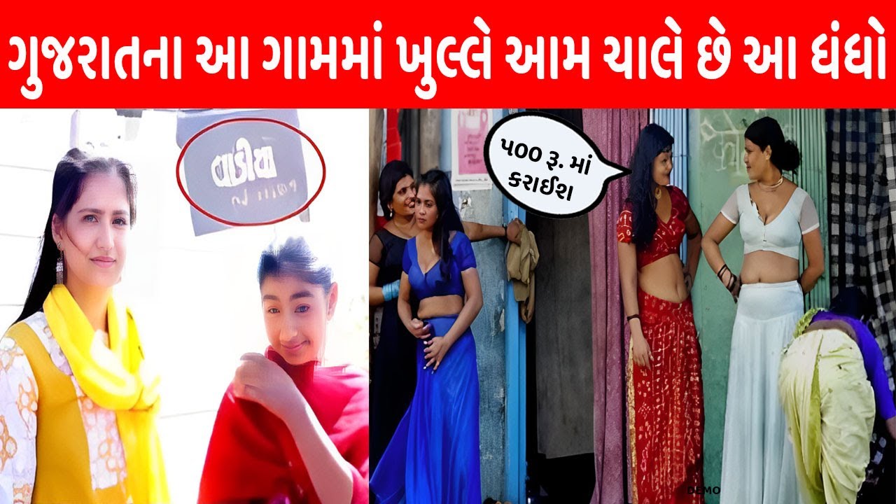 ગુજરાતના વાડિયા ગામમાં આખું ગામ કરે છે આ વેપાર | Vadiya gam gujarat ...