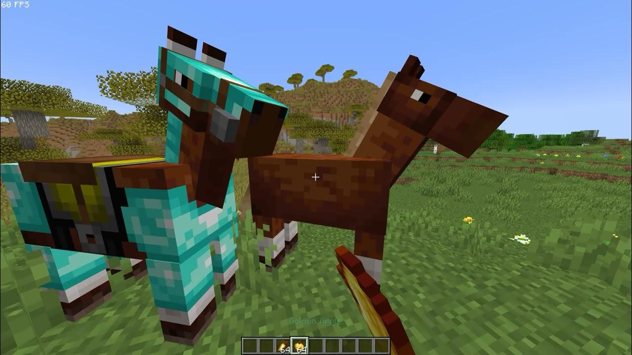 How To Tame, Ride & Breed Horses In Minecraft 1.19 | 1.19.1 | 1.19.2 ...