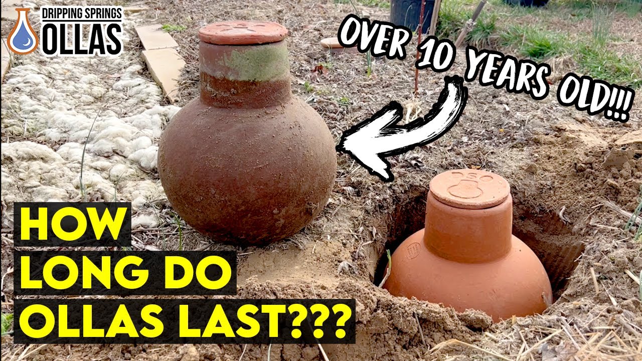 How to make your Olla withstand the test of Time!!! #gardening #plants ...