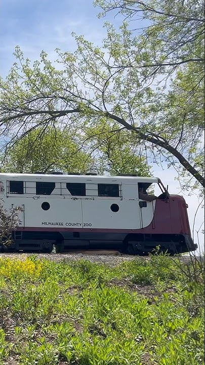 Milwaukee County Zoo Train Runs Over Bridge - YouTube