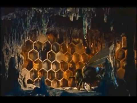 Giant Bee attacks! - YouTube