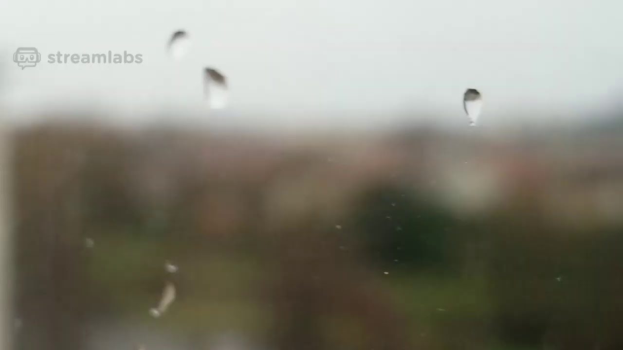 PARIS FRANCE after the storm winds 140kmh Part 2, south of Paris France ...