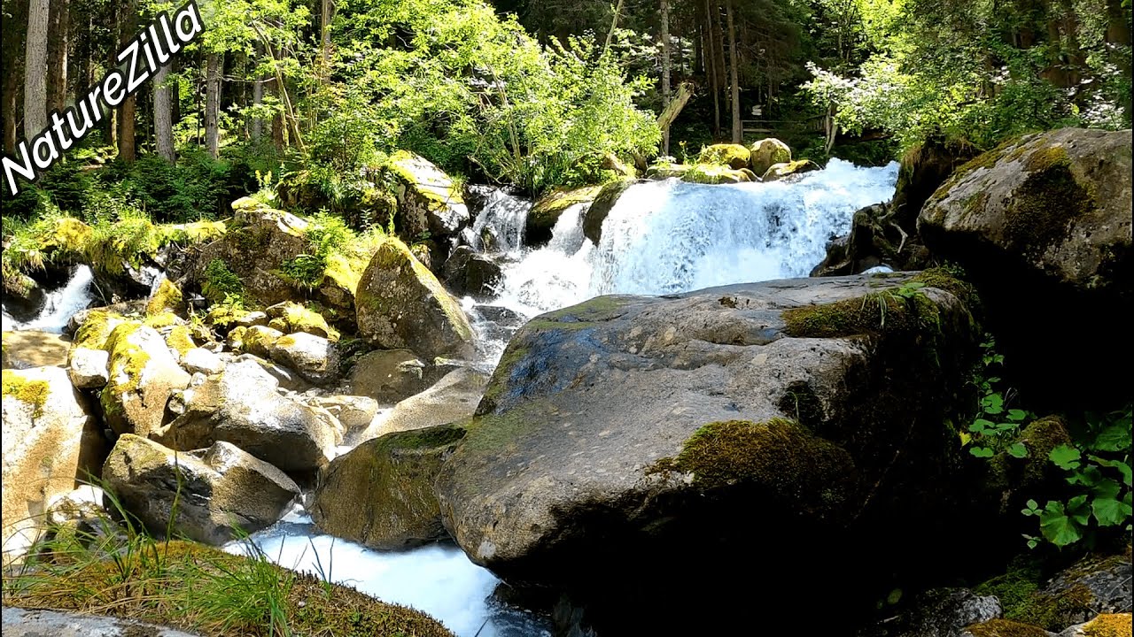 Calming Forest Mountain Waterfall. Relaxing Water, Nature Sounds. (10 ...