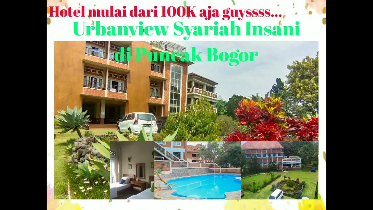 Hotel puncak murah view bagus , hotel urban view insani syariah - YouTube