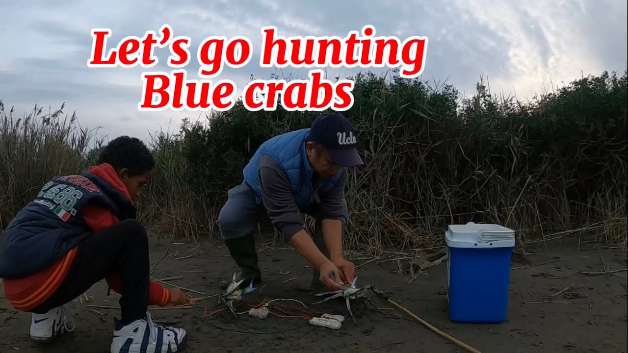 Lets go hunting blue crabs - YouTube