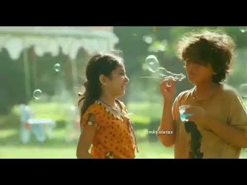 15 Seconds Status Video Download