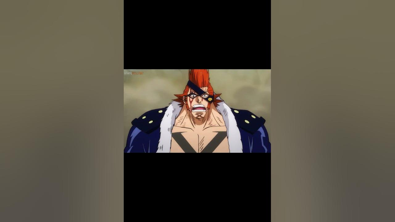 Luffy Acepta A X Drake Como Su Aliado 😂😂 One Piece Momento