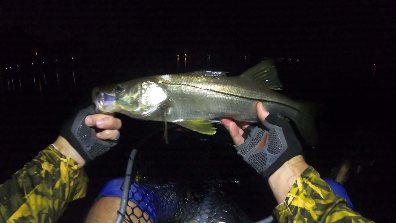 New Pink Fluke Lure Was Catching All The Fish\ Worth The 8 Hour Trip🙌👍😁 ...