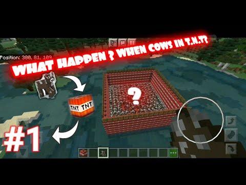 WHAT HAPPEN? When Cows in TNT? (Just See😶 Minecraft Gameplay #1 - YouTube
