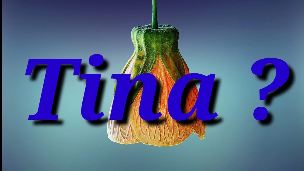 Tina Name Status | Tina Name Meaning | Tina Name WhatsApp Status ...