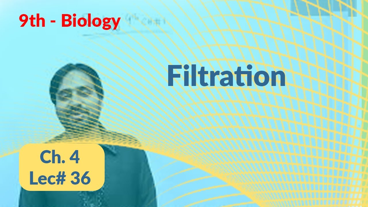 9th Biology Ch 4 filtration - 9th class Biology Ch 4 filtration - YouTube
