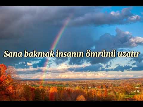 ÇİFT GÖKKUŞAĞI